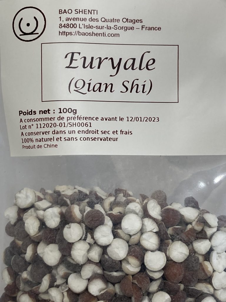 Euryale seed (Qian Shi) - BAO SHENTI